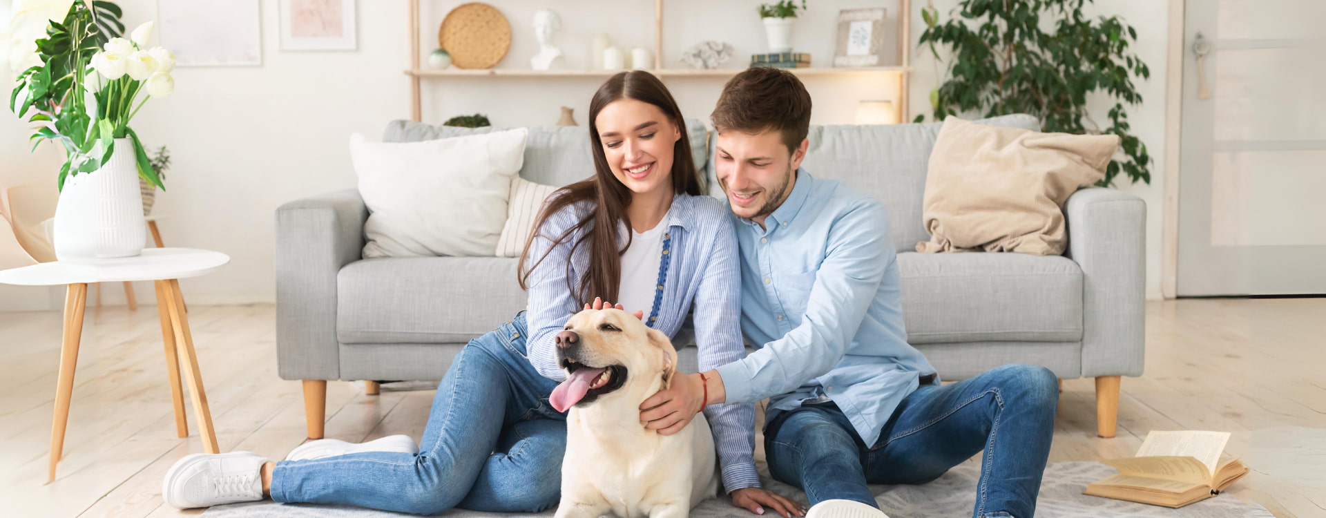 Provirtec | Empower Healthy and Comfortable Lifestyle